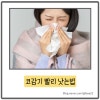 코감기 빨리 낫는 법 코감기 원인과 증상 네이버 블로그